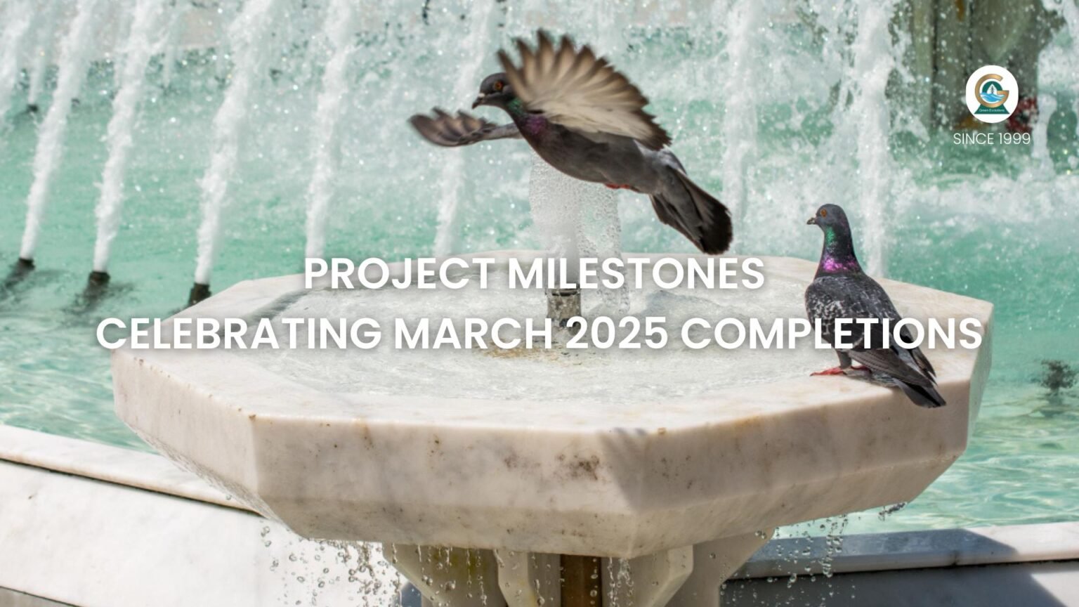 Project Milestones- Celebrating March 2025 Completions